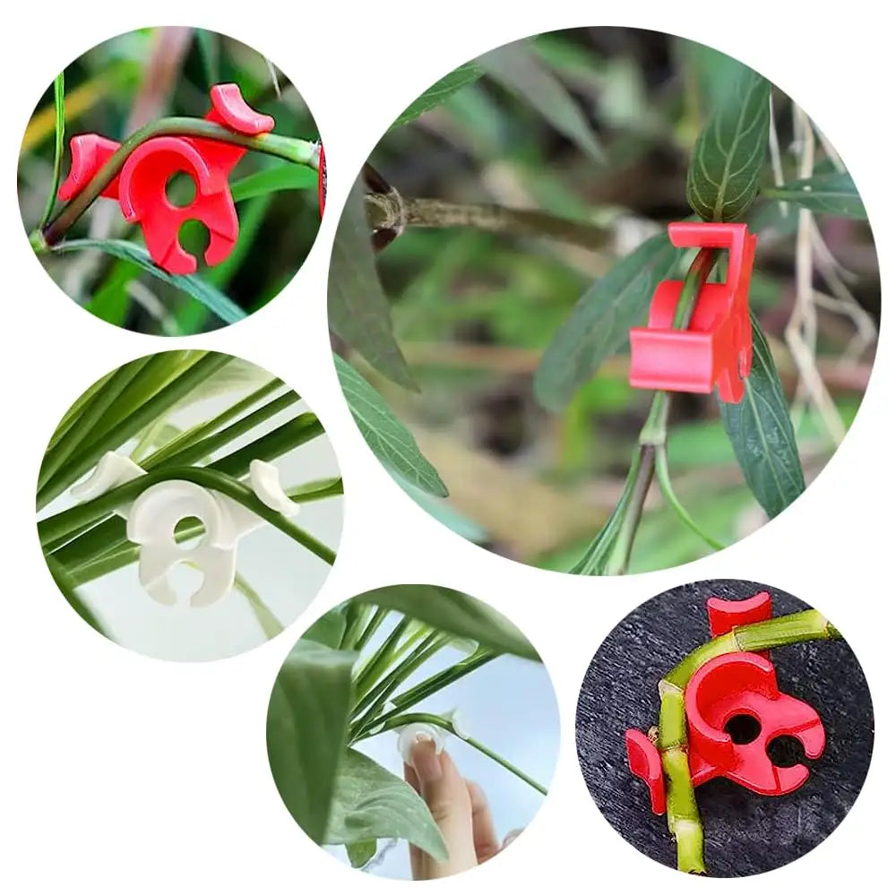 LST Training Clips Reusable (25 pack)